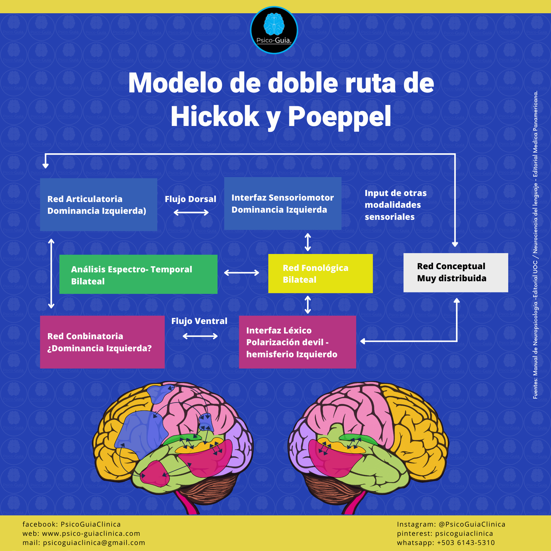 Modelos teóricos sobre el procesamiento del lenguaje 🔑