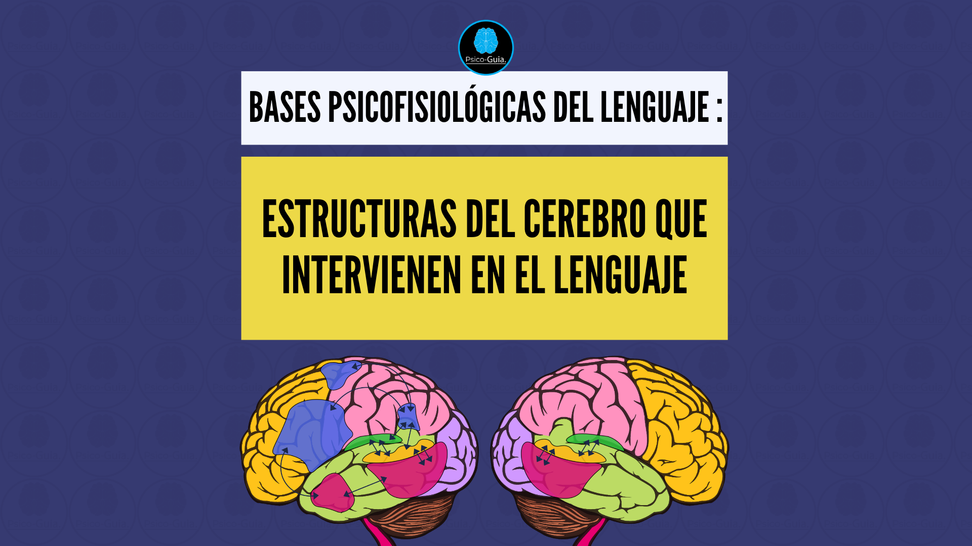 Estructuras del cerebro que intervienen en el lenguaje 🧠