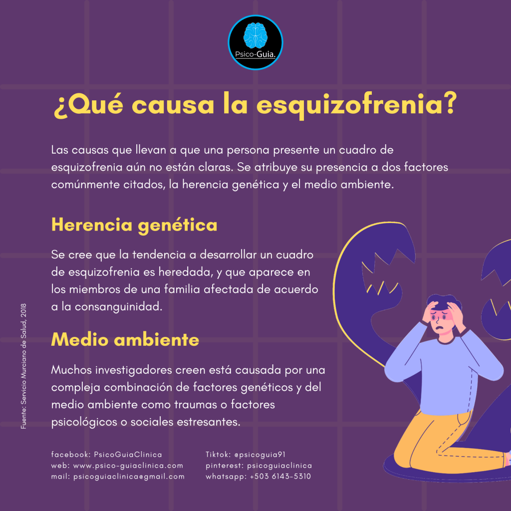 Esquizofrenia y sus síntomas - Psico-Guia 🤯