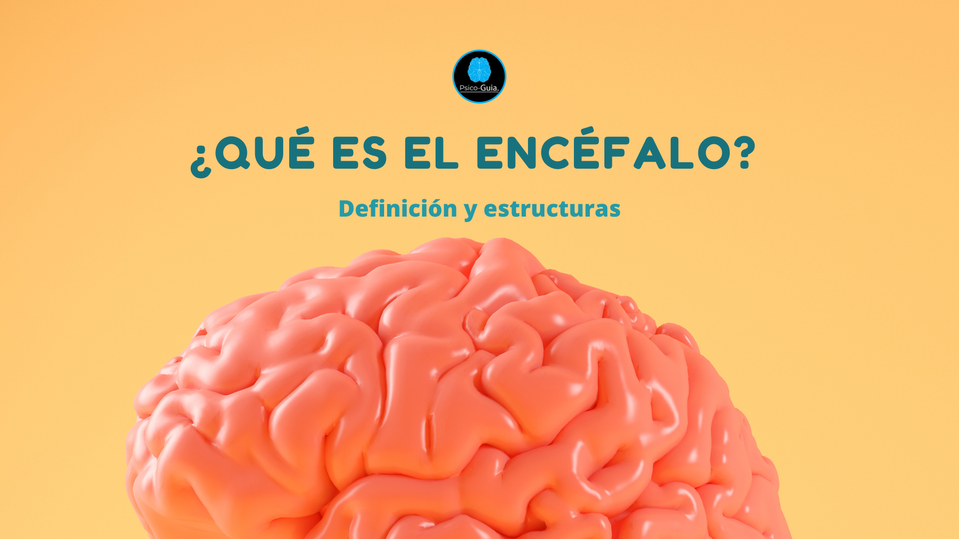 ¿Qué es el encéfalo? - Definición y estructuras - Psico-Guia